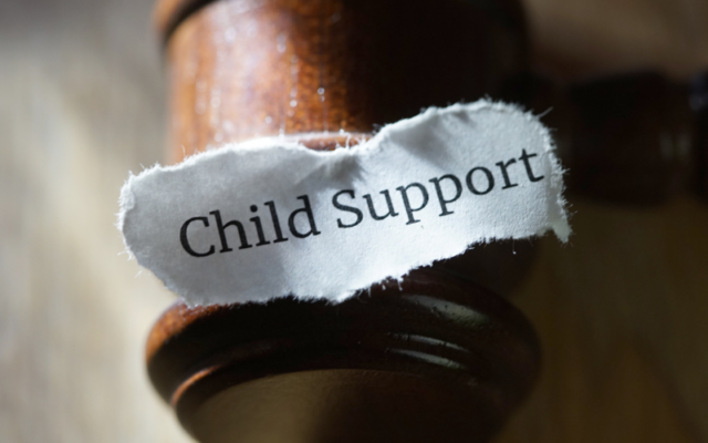 Understanding the Differences Between Spousal Maintenance and Child Support